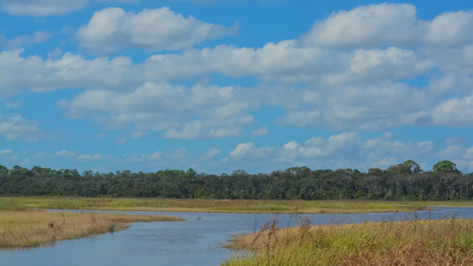 ICTQual Level 4 Diploma in Principles of Protected Areas Management